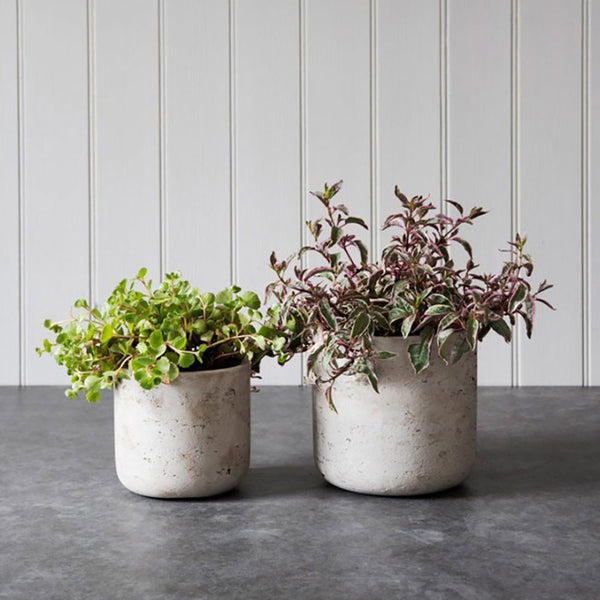 Concrete Plant Pot – Blacks of Sopwell