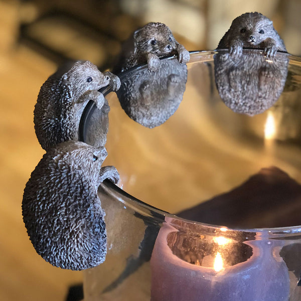 Hedgehog Pot Hanger – Blacks of Sopwell