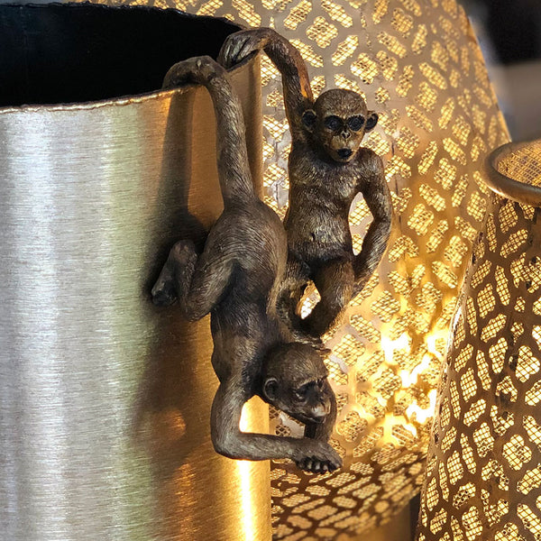 Arm Hanging Monkey Pot Hanger – Blacks of Sopwell Online Store