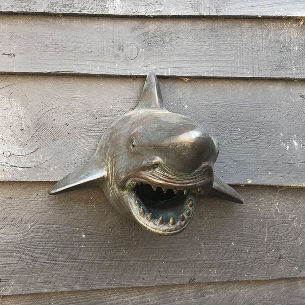 Wall mounted Shark Head – Blacks of Sopwell
