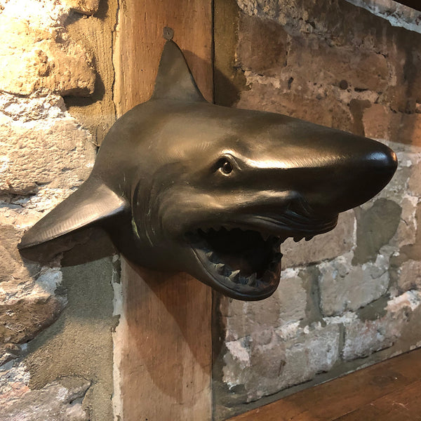 Wall mounted Shark Head – Blacks of Sopwell