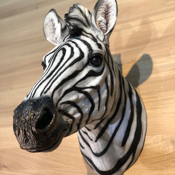 Wall mounted Zebra Head – Blacks of Sopwell